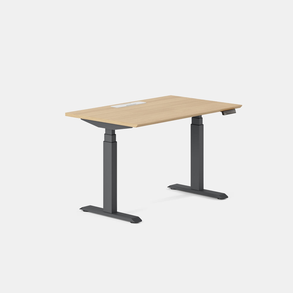 Standing Desk | Adjustable Standing Desk | Branch Office Furniture