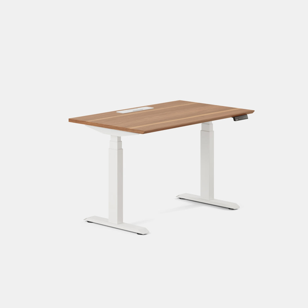 Standing Desk | Adjustable Standing Desk | Branch Office Furniture