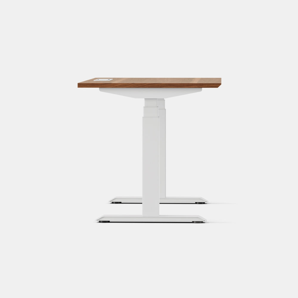 Standing Desk | Adjustable Standing Desk | Branch Office Furniture