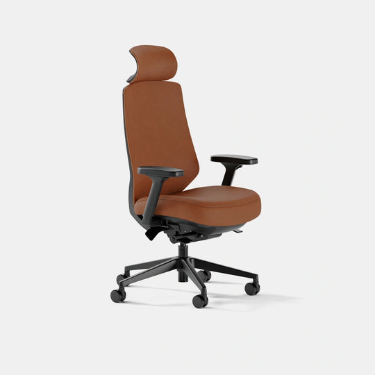 Ergonomic Chair Pro | Branch