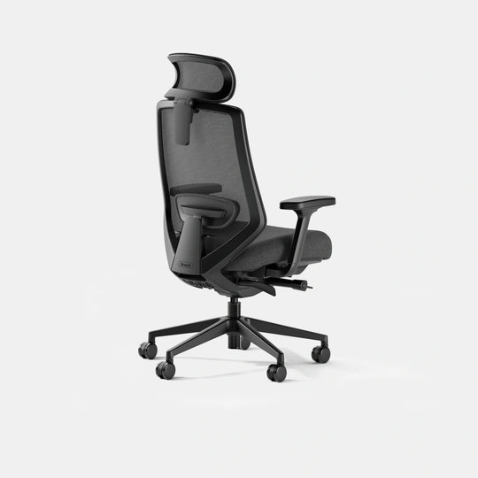 Ergonomic Chair Pro | Branch