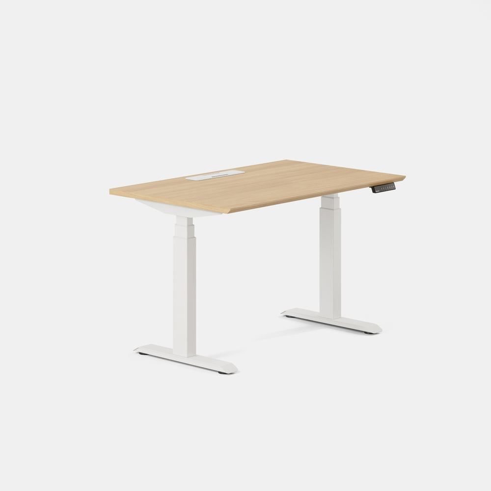 Standing Desk | Adjustable Standing Desk | Branch Office Furniture