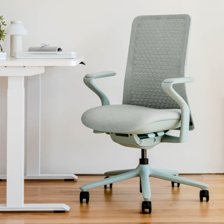 Office Chairs | Ergonomic Office Chairs | Branch Office Furniture