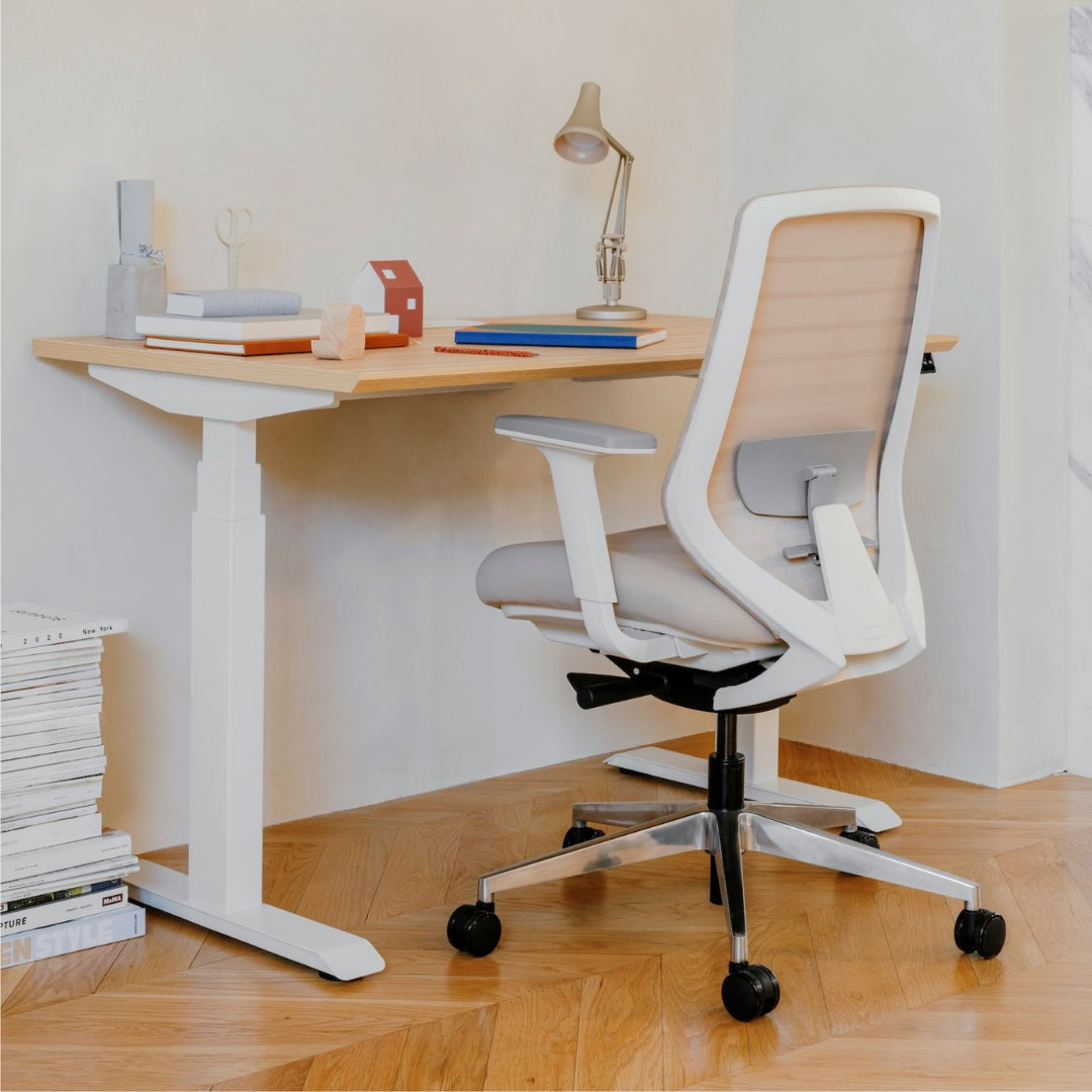 Ergonomic Chair | Office Ergonomic Chairs | Branch Office Furniture